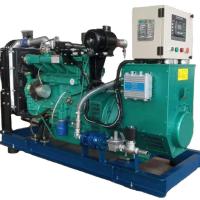 China Gas Turbine Bio Gas Generator, Free Energy Power Biogas Generator, Power Plant Methane Biogas Generator for sale