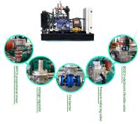China Biogas Generator Electric Cogeneration Cost, Biogas Generator Design, Biogas Generator Manufacturer for sale