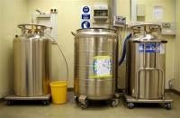 China Liquid Nitrogen Tanks Safety (YDS TYPE) Cryogenic Storage Container Stainless Steel Cryogenic Liquid Storage Tank for sale