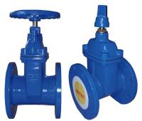 China PN10 DN40 Resilient Seated Gate Valve with Epoxy Coating for Sea Water and Potable Water Systems for sale