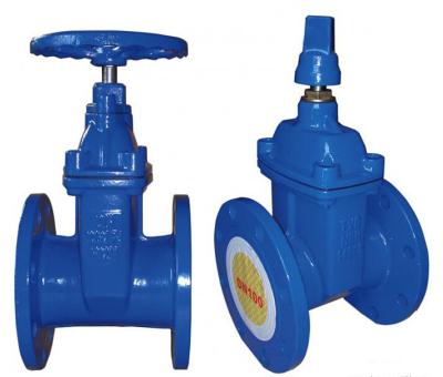 China PN10 DN40 Resilient Seated Gate Valve with Epoxy Coating for Sea Water and Potable Water Systems for sale