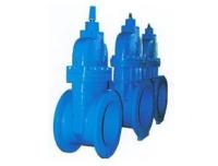 China 2.5MPa Dark Bar Resilient Seated Gate Valve with 50-1000mm Diameter Range for Water and Industrial Applications for sale