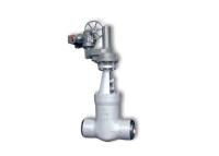 China API 150Lb Pressure Seal Bonnet Gate Valve 2-48 Inch Size Range 150-2500 Pressure Class Petrochemical for sale