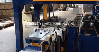 China Freezer Liner forming line for sale