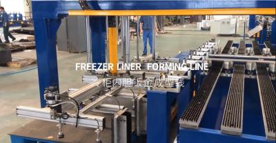 China Freezer Liner forming line for sale