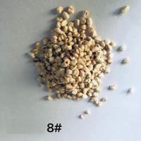 China Good Quality  Factory Price 8 #16# 24# 36# 60# corn cob Glasses polishing  abrasive for sale