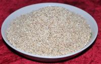 China 10-100 mesh China Manufacturing Walnut Shell Abrasive/ Walnut in Shell for Surface Treatment for sale