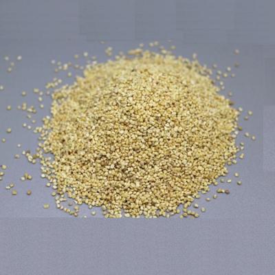 China 5# /12# /18# Abrasive Crushed Corn COB/Corncob with Factory Price for sale