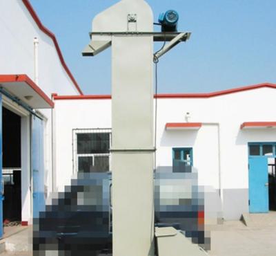 China High quality Sand Chain Type best price bucket elevator Iron ore pellets conveyor for sale