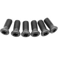 China Original S 5513 020-55 Alloy Steel Torx Screw M2.0 5.5mm Length for Indexable Carbide Insert Fastening CNC Tools for sale