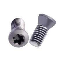 China Original S 5513 020-55 Alloy Steel Torx Screw M2.0 5.5mm Length for Indexable Carbide Insert Fastening CNC Tools for sale