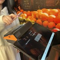 China Retail Store Wireless Payment Terminal with Capacity Touch Screen and Convenience for sale