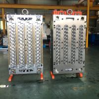 China Meusburger Standard LKM Hot/Cold Runner Plastics Injection Mold for sale