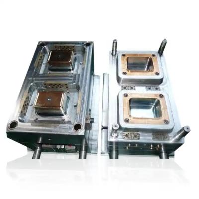China Multi Cavity Plastics Injection Mold With H13 for sale
