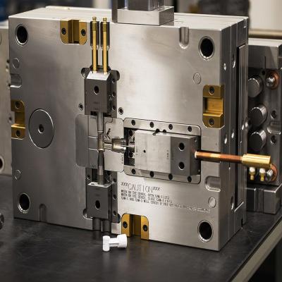 China Customized Precision Injection Mold for Plastic Home Appliances for sale