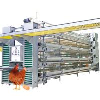 China Automatic Poultry Equipment with Hot-dip Galvanized Steel for 50-Year Service Life and Customized Dimensions for sale