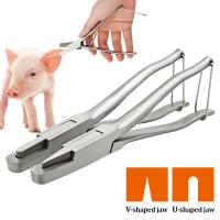 China Goat cattle horses pig Vshaped Ushaped stainless steel clamps ear piercing punching pliers for sale