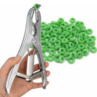 China Stainless steel spreader pliers for piglet tail docking clamps, bloodless castration clamps for cattle and sheep for sale