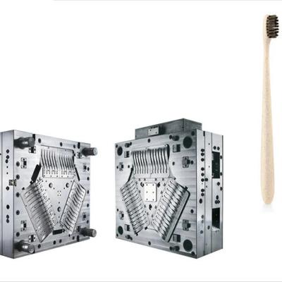 China Household adult & children toothbrush mold, custom plastic injection mold making for sale