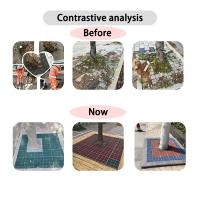 China Custom Cut Street Tree Grate & Tree Pit Guard | Durable & Practical Tree Protection Grating for Urban Sidewalks for sale