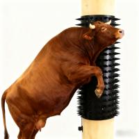 China Black Plastic Livestock Self Scratching Board 33X42cm for Relieving Itchiness in Farm Animals for sale