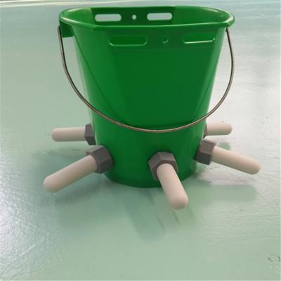 China Portable 8L Capacity Multi Teat Lamb Feeding Bucket with Metal Handle for Sheep and Livestock for sale