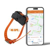 China 4G LTE GPS Dog Tracker Collar with Virtual Electronic Fence and IP67 Waterproof Smart Pet Tracking Device for sale