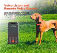 China 4G LTE GPS Dog Tracker Collar with Virtual Electronic Fence and IP67 Waterproof Smart Pet Tracking Device for sale