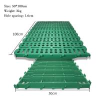 China Reinforced Plastic Slatted Floor for Goat & Sheep Farm | 1000×500mm Livestock Flooring for sale