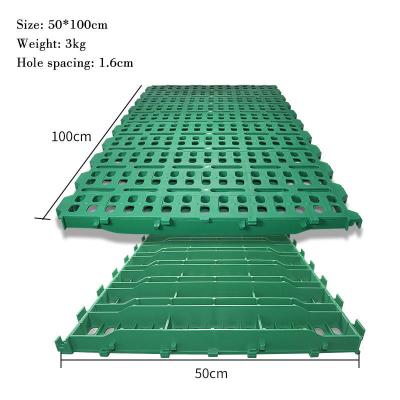 China Reinforced Plastic Slatted Floor for Goat & Sheep Farm | 1000×500mm Livestock Flooring for sale