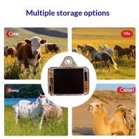 China 4G GPS Cattle Ear Tag Tracker Solar Powered Livestock Tracking Device for sale