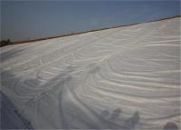 China High Strength Road Reinforced Polyester Needle Punched Geotextile for sale