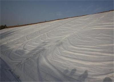 China High Strength Road Reinforced Polyester Needle Punched Geotextile for sale