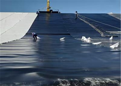 China Anti Aging High Tensile 2.0mm Polyethylene Geomembrane for sale
