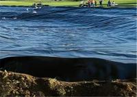 China Anti Leakage Polyethylene Geomembrane Width 1m~8m for sale