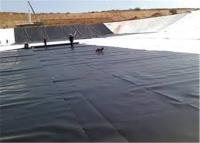 China UV Resistance Polyethylene Geomembrane for sale