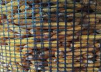 China 60kn Polypropylene Geogrid Ce Iso Sgi Astmd Civil Engineering Construction for sale
