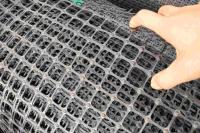 China Color Black Biaxial Polypropylene Geogrid 40/40kn Road Reinforcement for sale