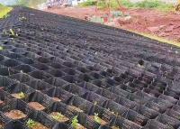 China High Intensity 150mm Road Railway Retaining Wall Hdpe Geocell for sale