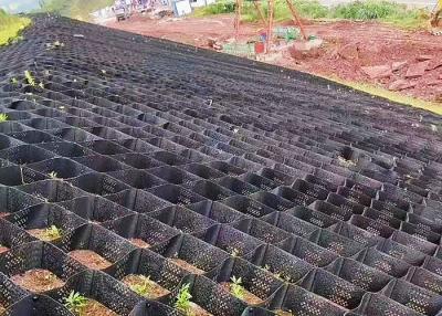 China High Intensity 150mm Road Railway Retaining Wall Hdpe Geocell for sale