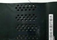 China Welding Driveway Geocell Perforated Grid For Slope Protection for sale