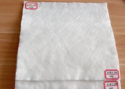 China 800g/Sqm Non Woven Geotextile M2 Felt Fabric Vertical Garden PP PET for sale