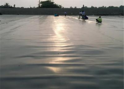 China Customization 0.5mm Hdpe Polyethylene Geomembrane For Fish Tank for sale