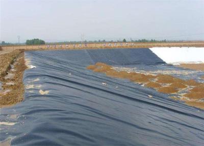 China 0.8mm Thick Hdpe Geomembrane Sheet Fish Farm / Shrimp / Pond / Dam Liner for sale