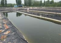 China Hdpe Swimming Pool Polyethylene Geomembrane Flexible Small Pond Liner for sale
