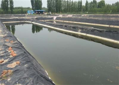 China Hdpe Swimming Pool Polyethylene Geomembrane Flexible Small Pond Liner for sale