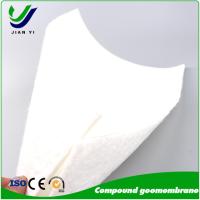 China Versatile 1G1M & 2G1M HDPE Composite Membrane with 0.2mm-1.0mm Thickness for Multi-Scenario Engineering Anti-Seepage for sale