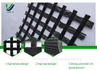 China Warp Knitted Polyester Geogrid 50-125 KN/m for Hydraulic Engineering Reinforcement for sale