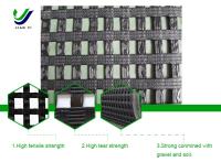 China Warp Knitted Polyester Geogrid 50-50 KN/m High Tensile Strength for Road Reinforcement for sale