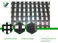 China Warp Knitted Polyester Geogrid 50-50 KN/m for Slope Stabilization and Retaining Wall Reinforcement for sale